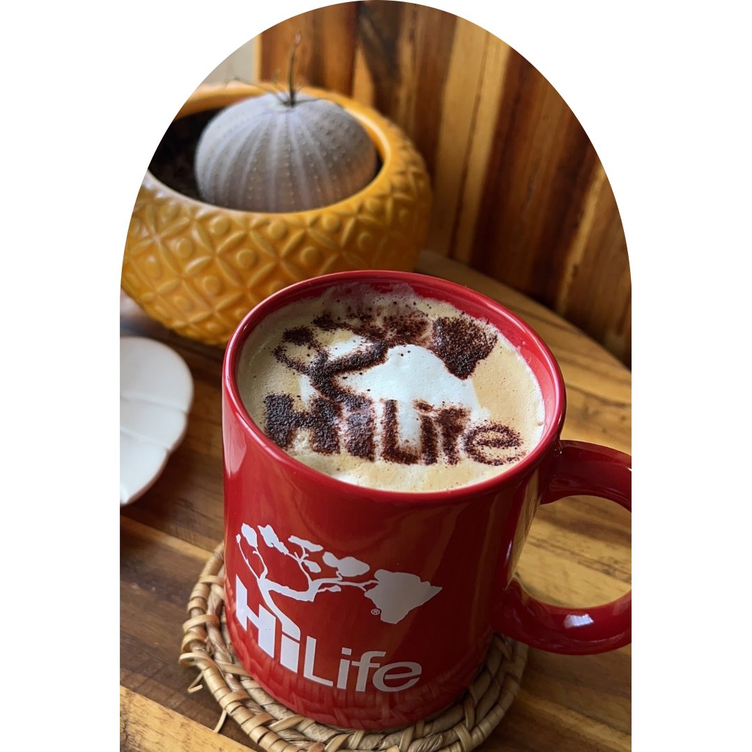 Accessories – HiLife Store